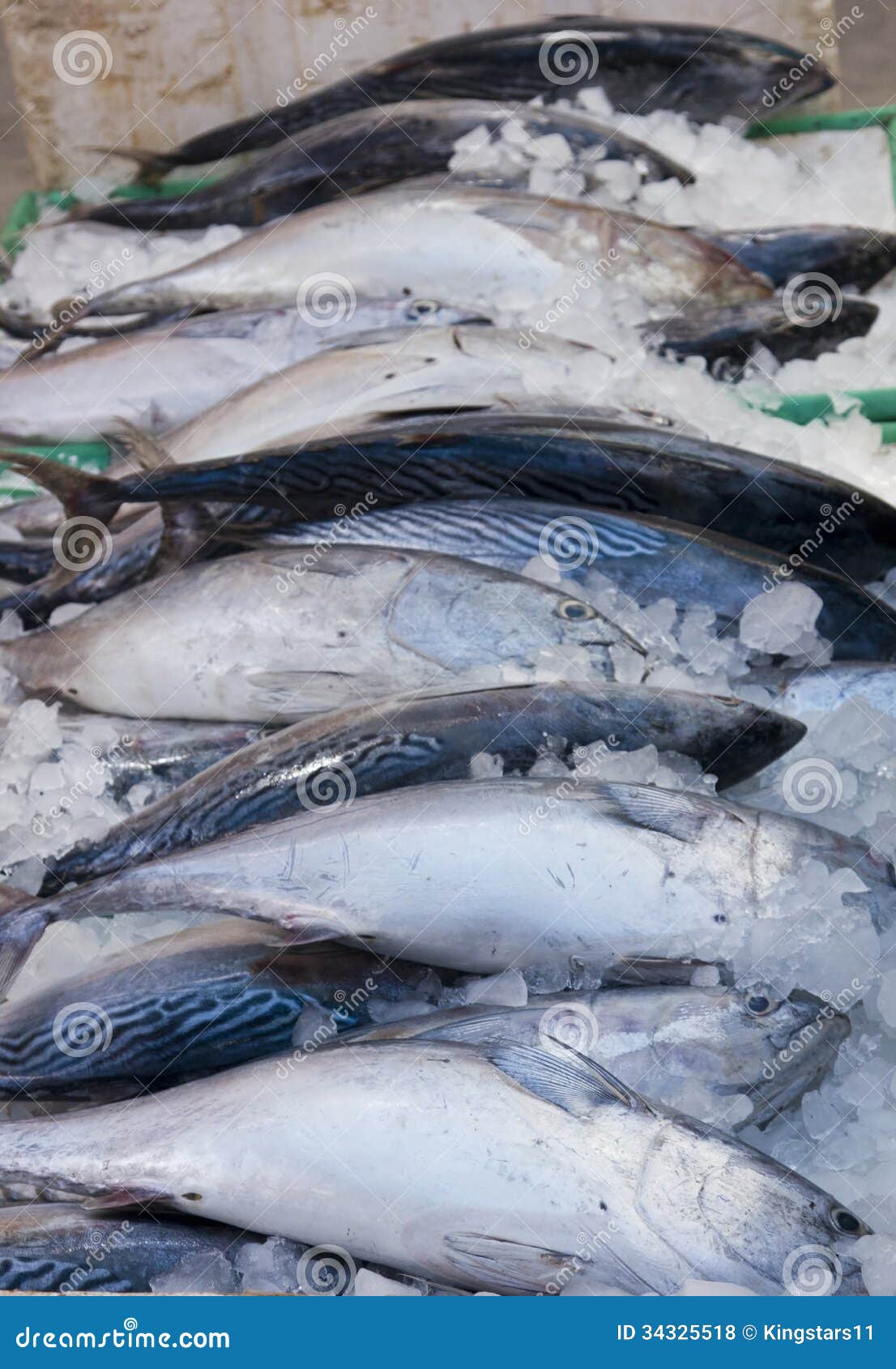 Little Tunny Fish with Ice in the Market Stock Photo - Image of sport ...