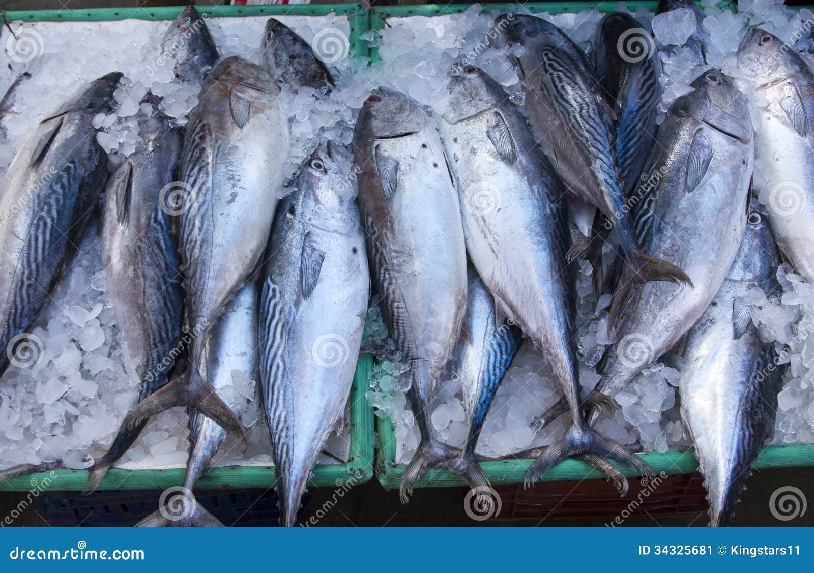 Little Tunny Fish in Market Stock Image - Image of nature, natural ...