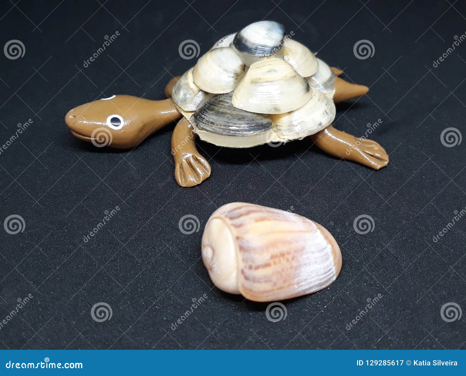 A Nice Little Turtle Accompanied by a Shell Stock Image - Image of nice ...