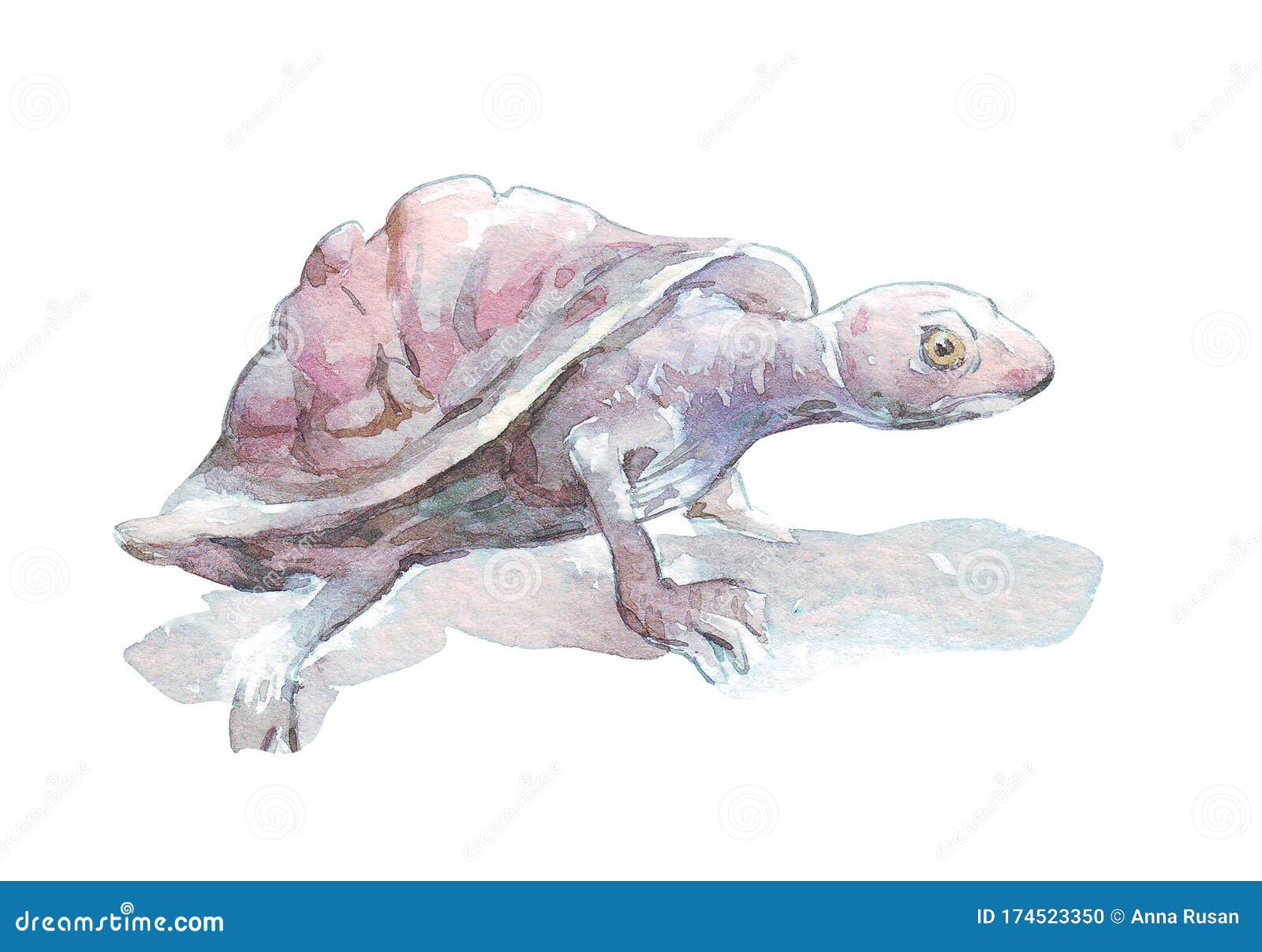 The Little Turtle Is Crawling. Vector Drawing | CartoonDealer.com ...