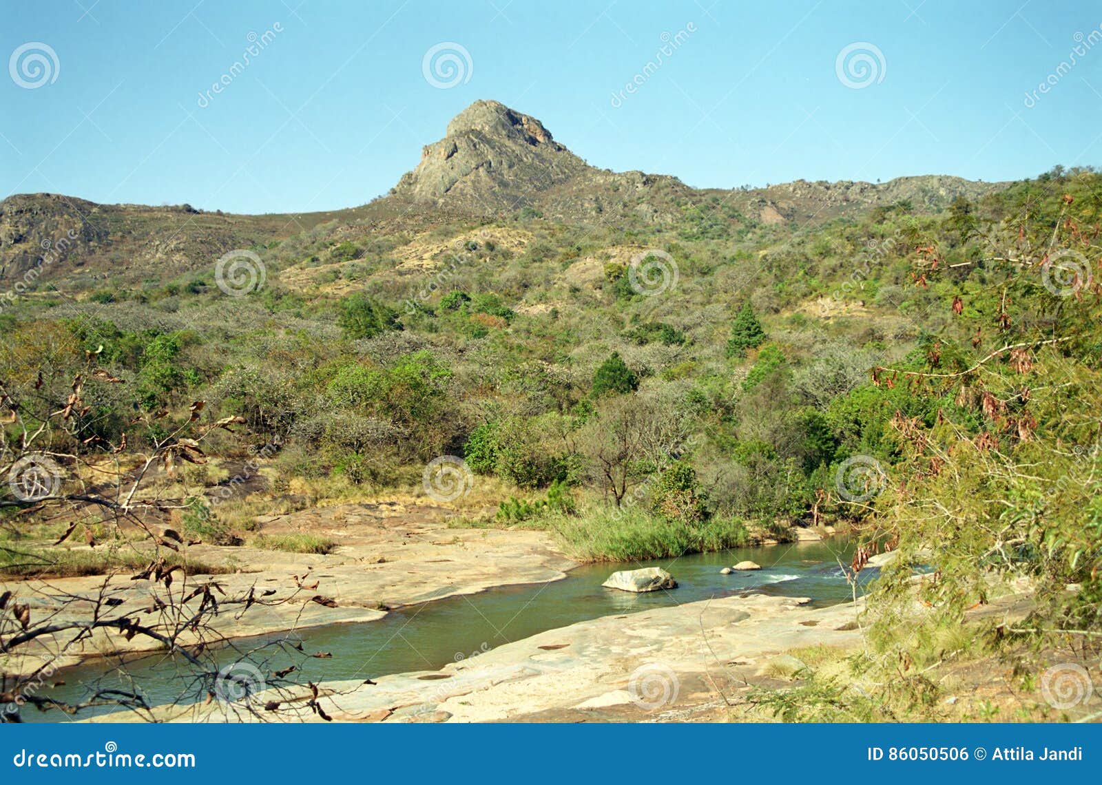 Little Usutu River, Swaziland Stock Photo - Image of environmental ...