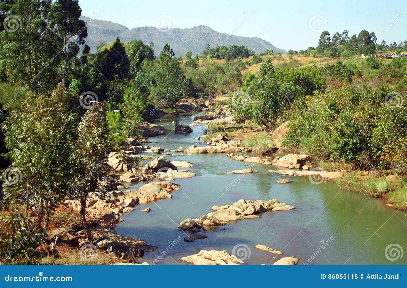 Little Usutu River, Swaziland Stock Image - Image of fynbos, ecology ...