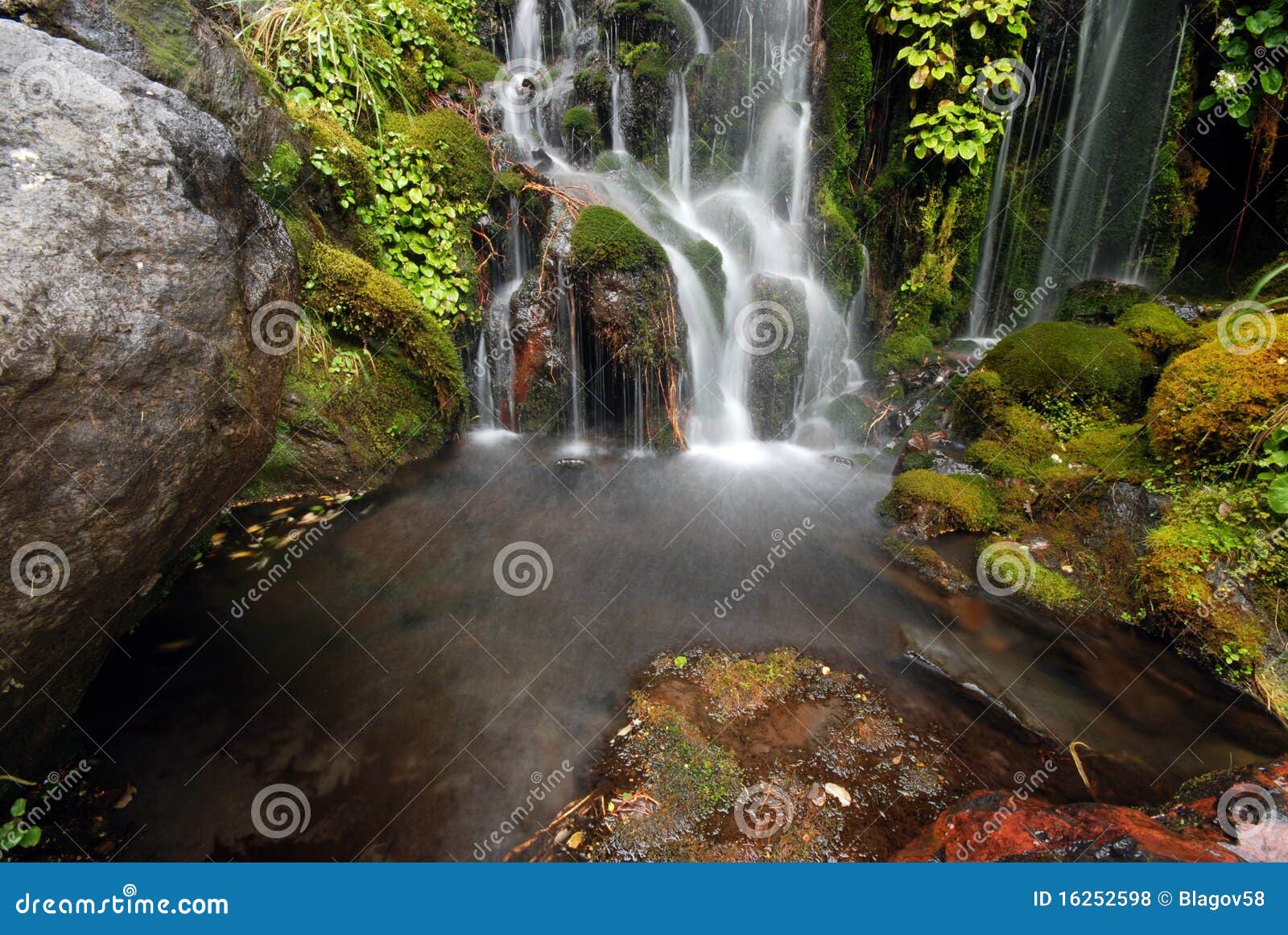 Little Waitonga Falls stock photo. Image of walk, scenic - 16252598