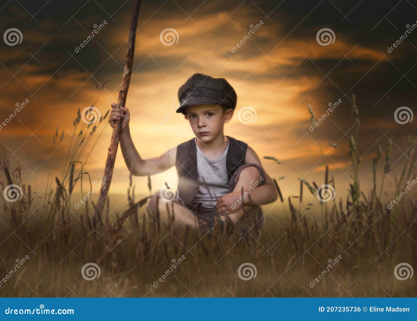 The little wanderer stock photo. Image of field, sunrise - 207235736
