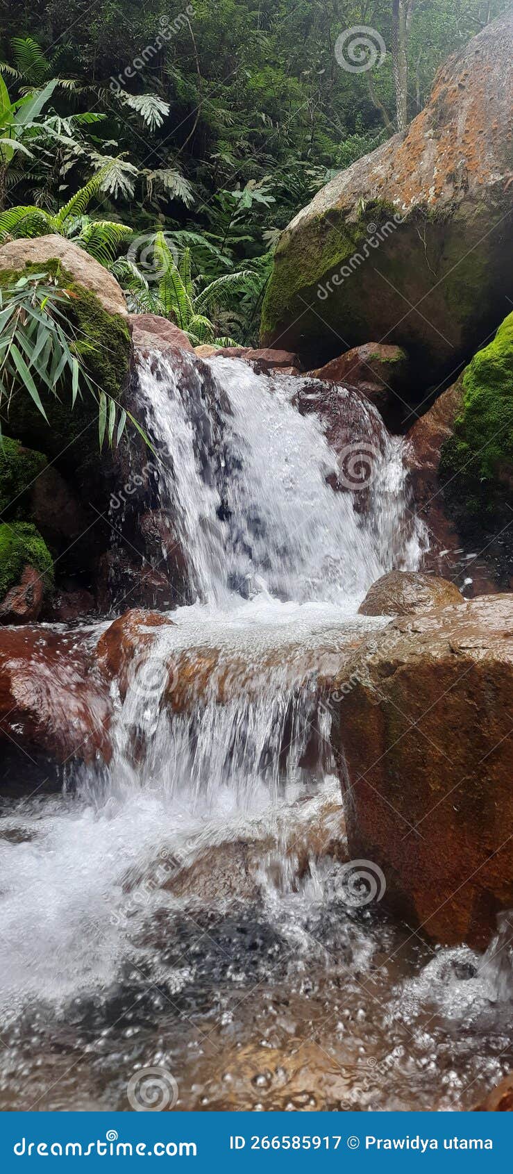 Little water fall stock image. Image of water, autumn - 266585917