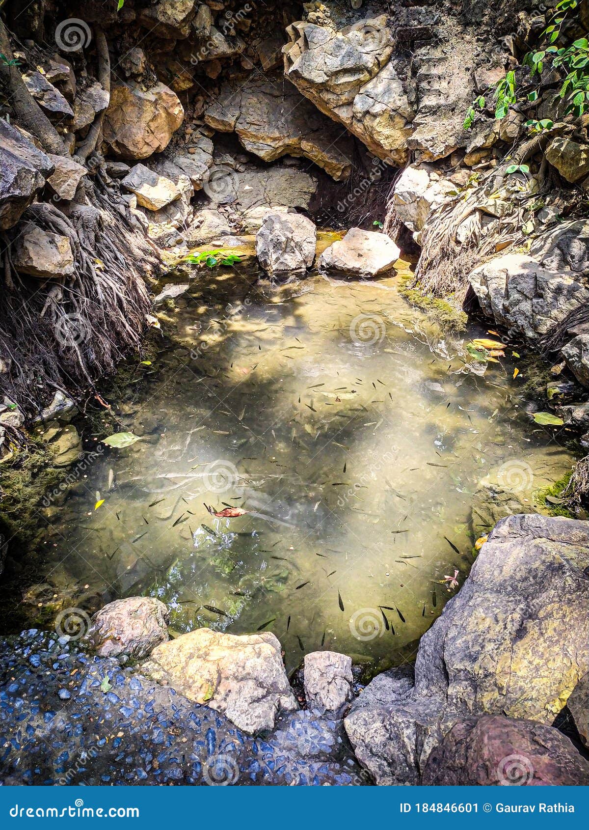 Little water fall stock image. Image of water, pond - 184846601