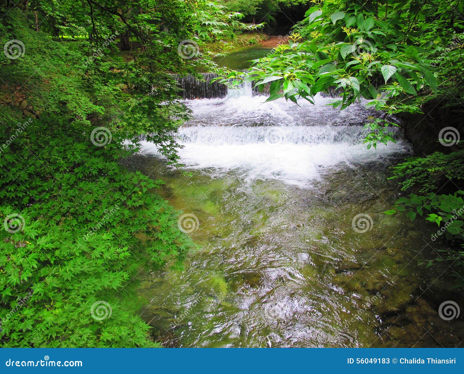 Little water fall stock image. Image of small, waterfalls - 56049183