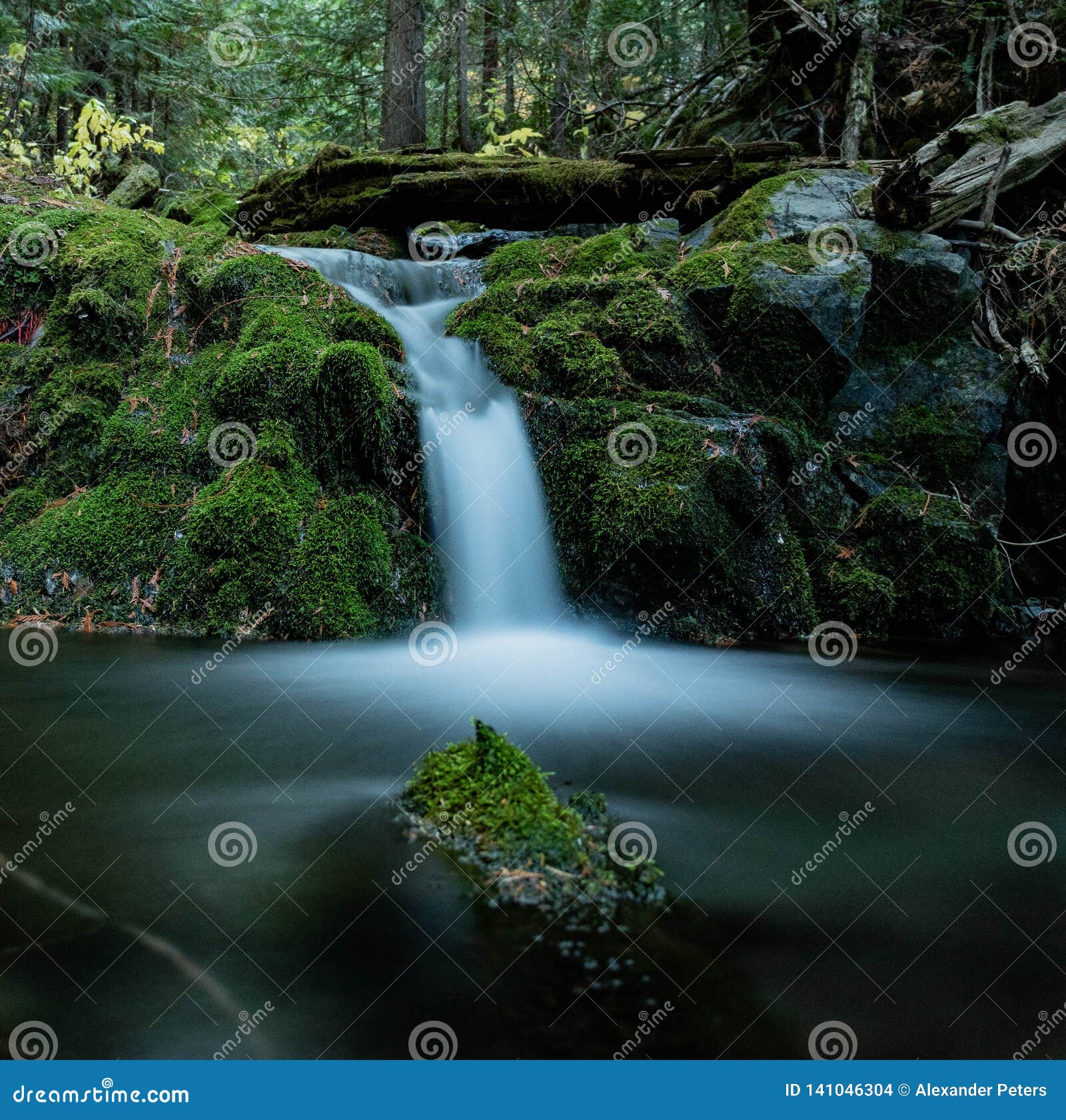 309 Little Steam Forest Stock Photos - Free & Royalty-Free Stock Photos ...