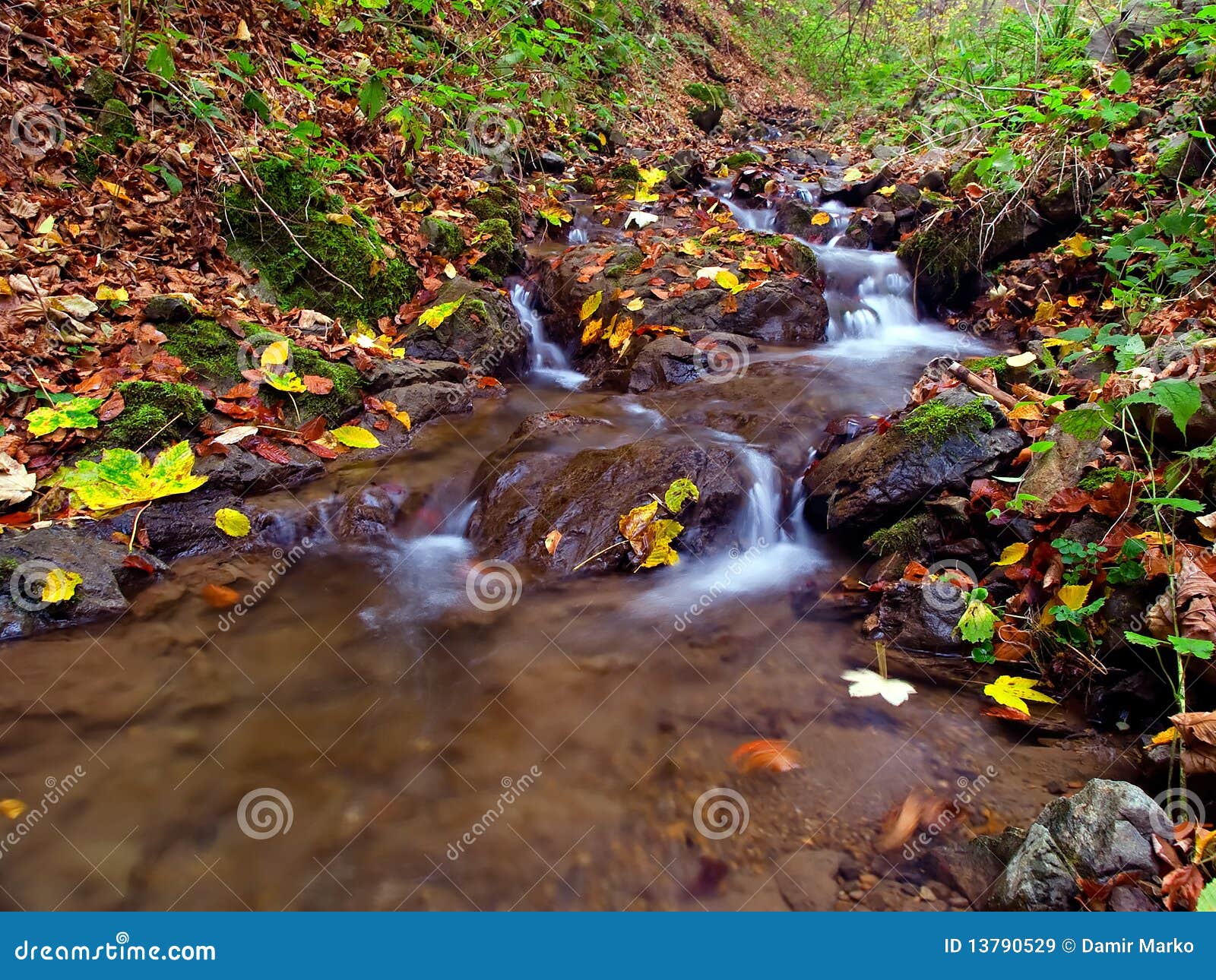 Little water stream stock image. Image of plants, leaf - 13790529