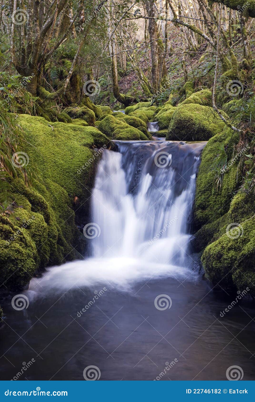 Little waterfall stock photo. Image of landscape, river - 22746182