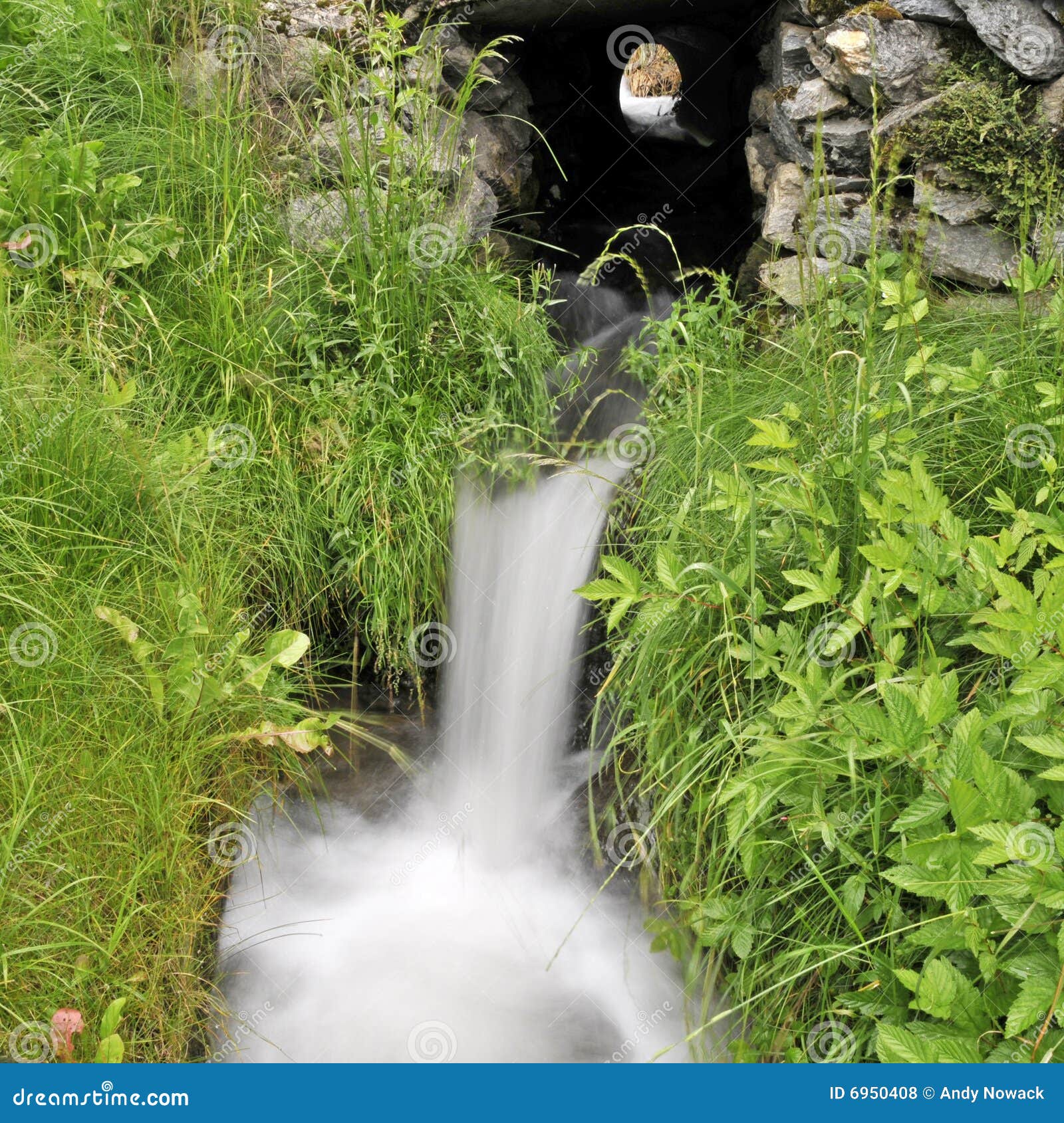Little waterfall stock photo. Image of little, lush, green - 6950408