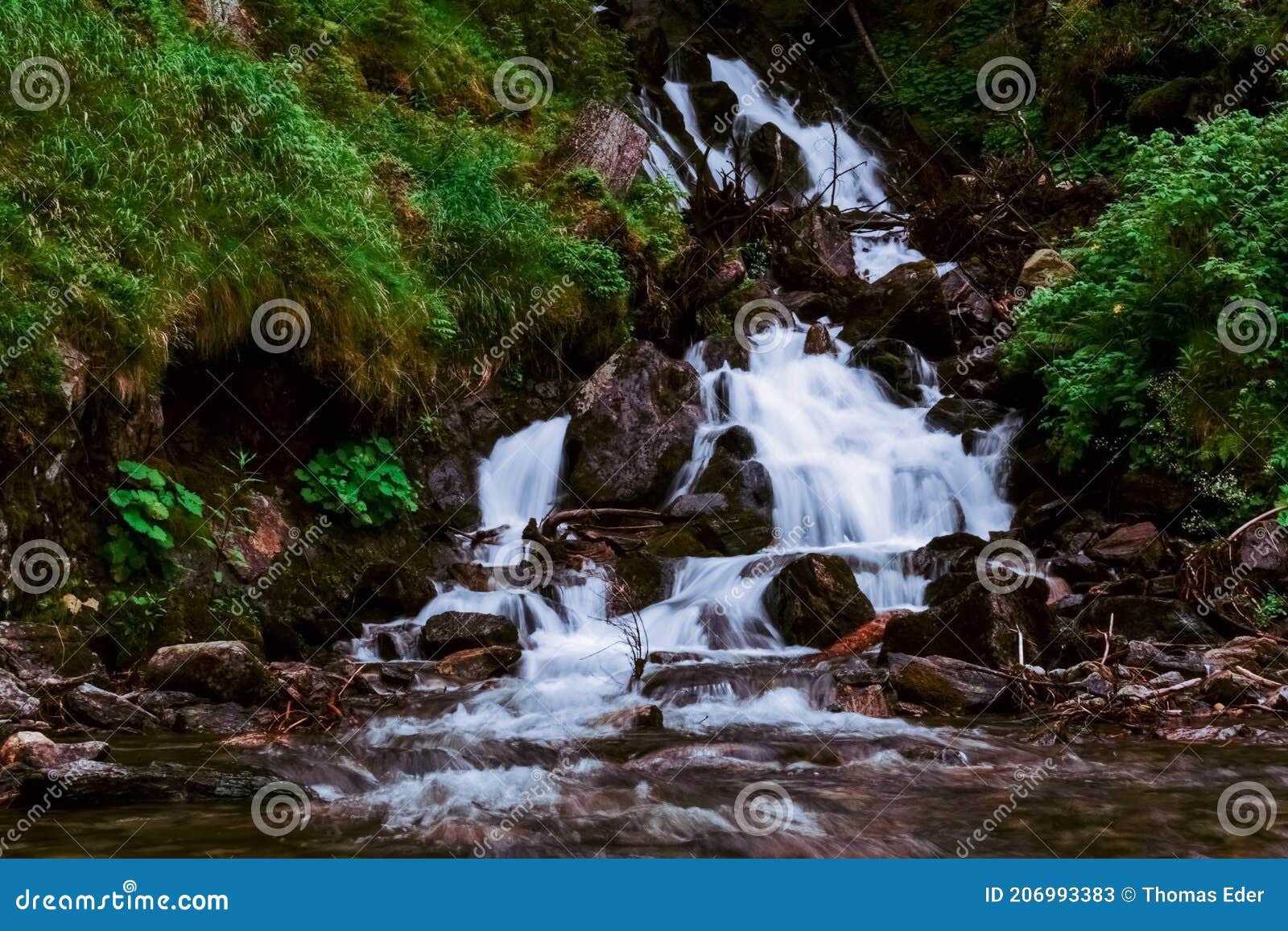 Little Waterfall in a Creek with Many Rocks and Plants Stock Image ...
