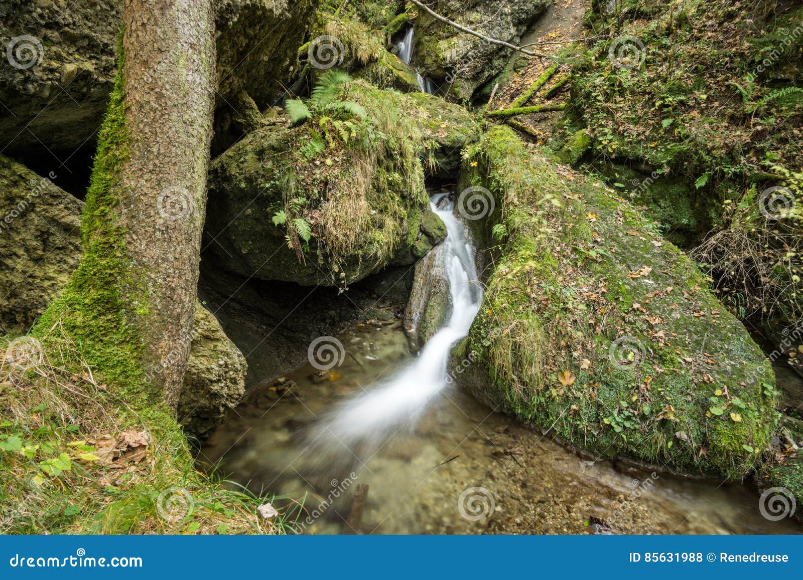 Waterfall In Fairy Glen Falls, Rosemarkie, Fortrose, Highlands, Scoland ...
