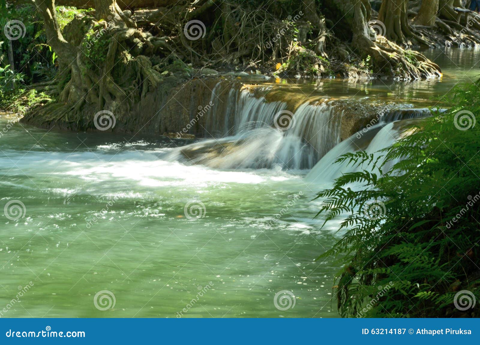 Little Waterfall with Old Big Trees Stock Image - Image of nature, flow ...