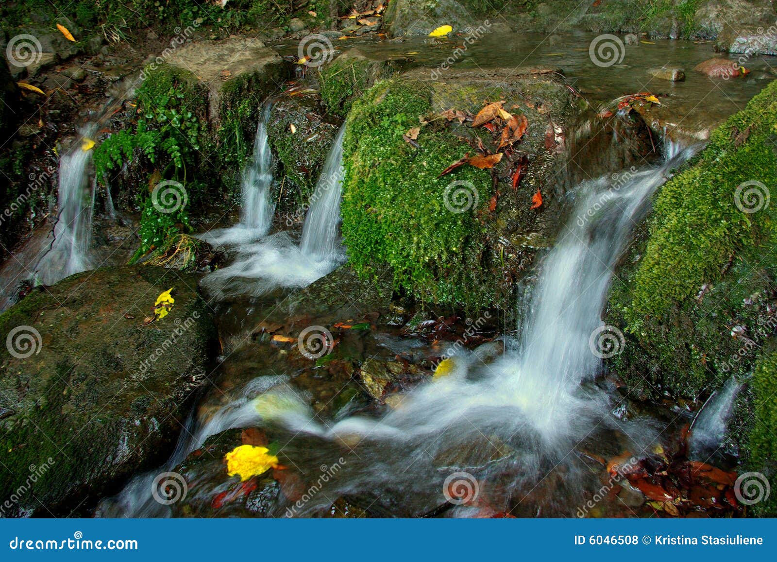 Little waterfalls stock photo. Image of beauty, motion - 6046508