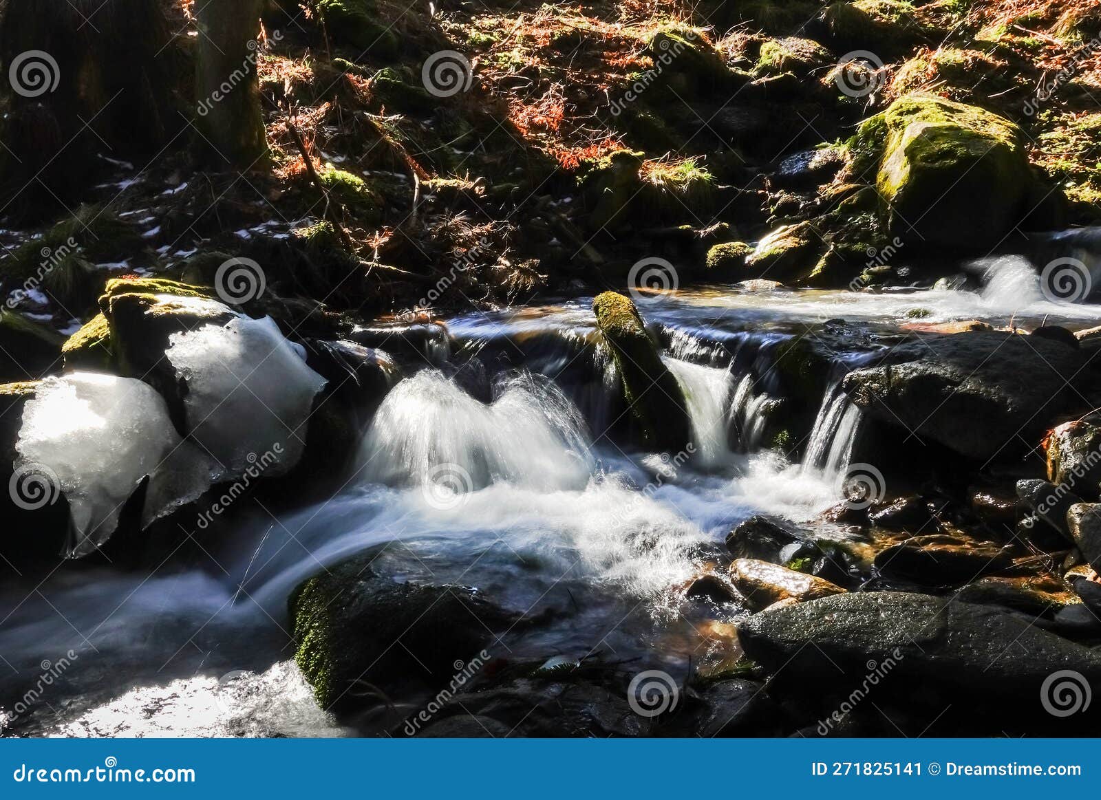 Little Waterfalls from a Brook in a Forest in Spring Stock Image ...