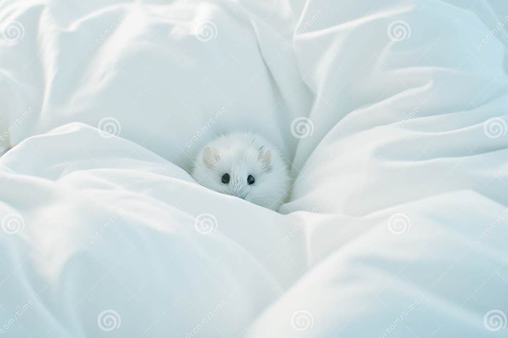Little White Mouse on a Blanket Stock Illustration - Illustration of ...