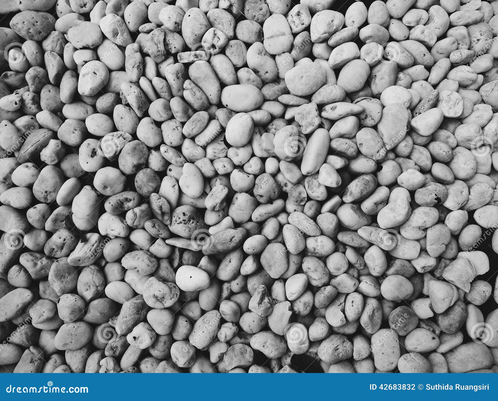 The Little White Stone on the Ground Stock Photo - Image of texture ...