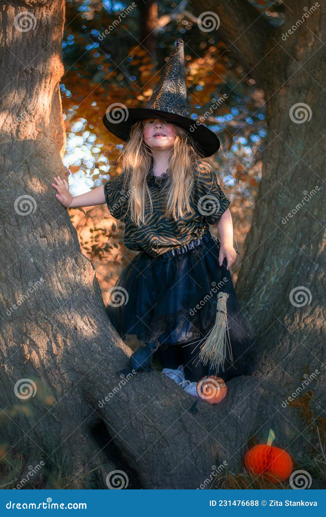 Little Witch Sitanding on a Tree in the Forest Stock Photo - Image of ...