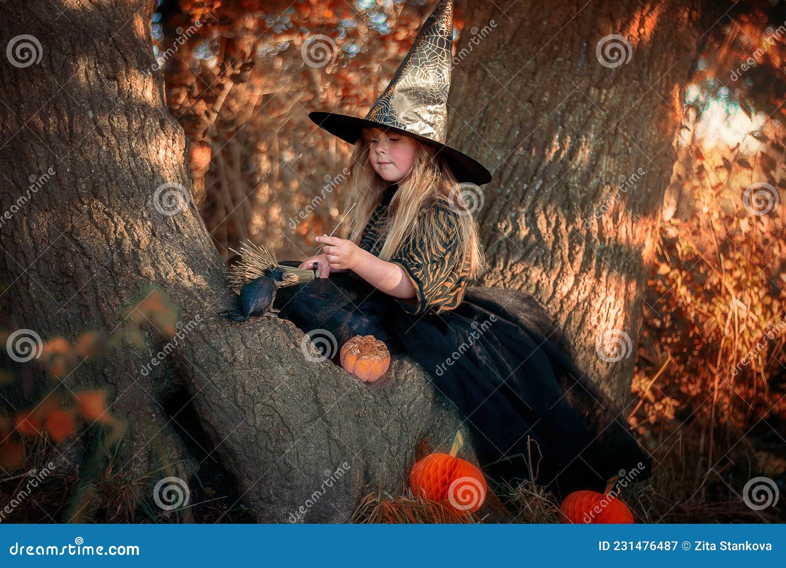 Little Witch Sitting on a Tree in the Forest Stock Image - Image of ...