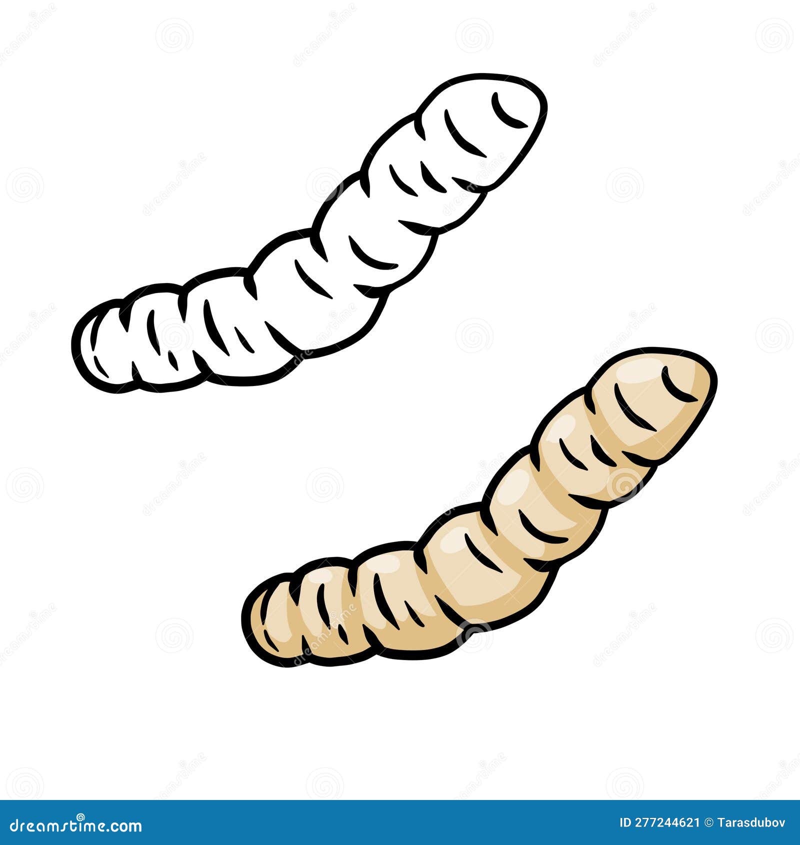 Nasty Insect. Centipede And Millipede. Flat Cartoon Isolated On White ...