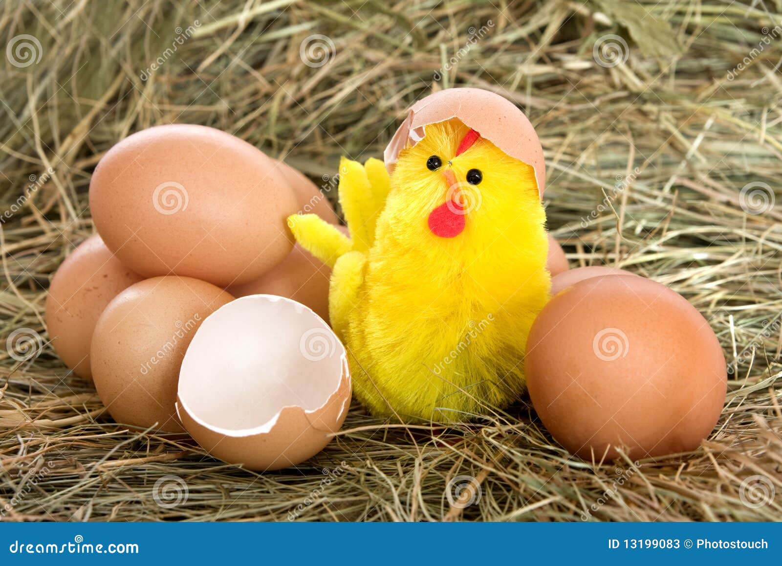 Little Yellow Chicken on Hay Stock Image - Image of feathers, duckling ...