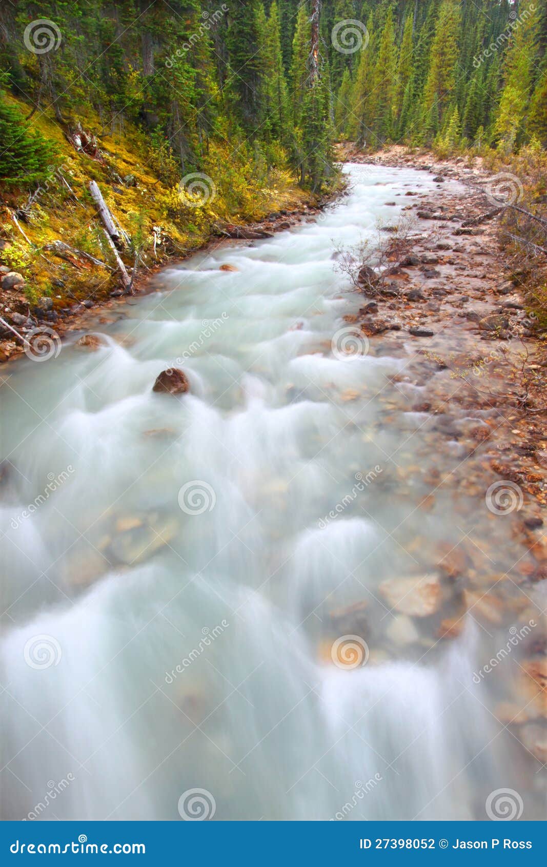 Little Yoho River Rapids Canada Stock Photo - Image of park, beautiful ...