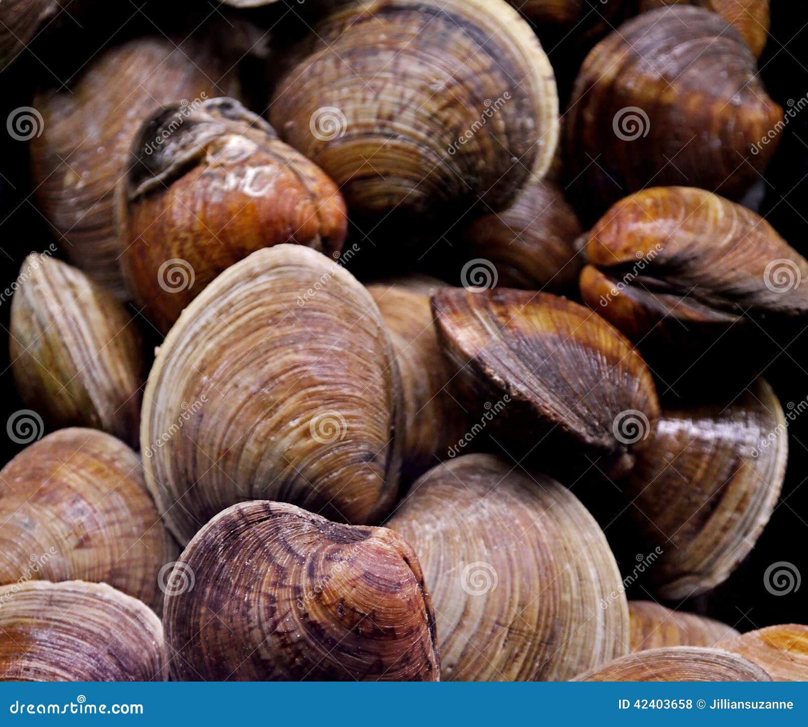 301 Clams Stack Stock Photos - Free & Royalty-Free Stock Photos from ...