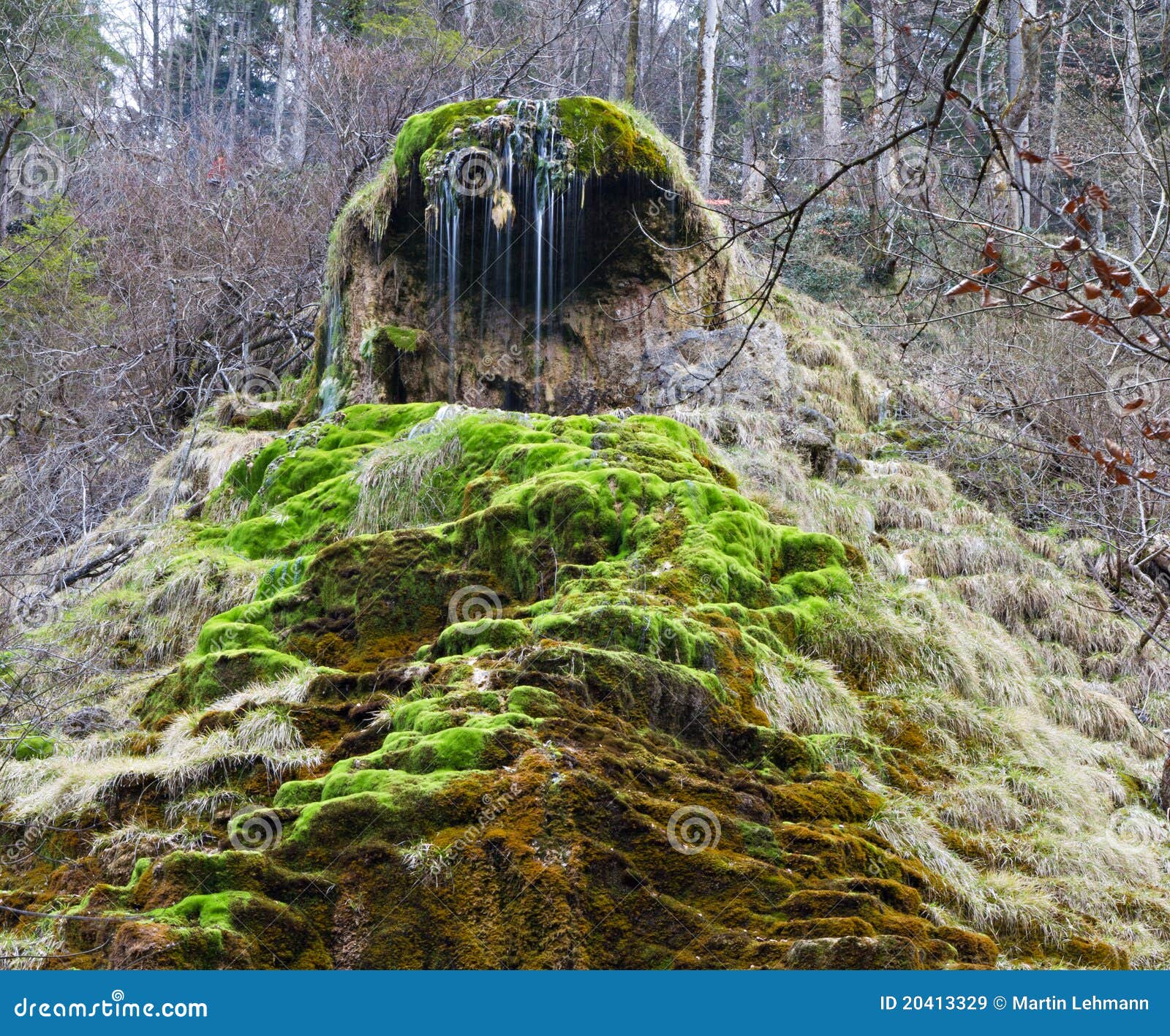 Littles Dripping Stream Runs Over Mossy Slope Stock Image - Image of ...