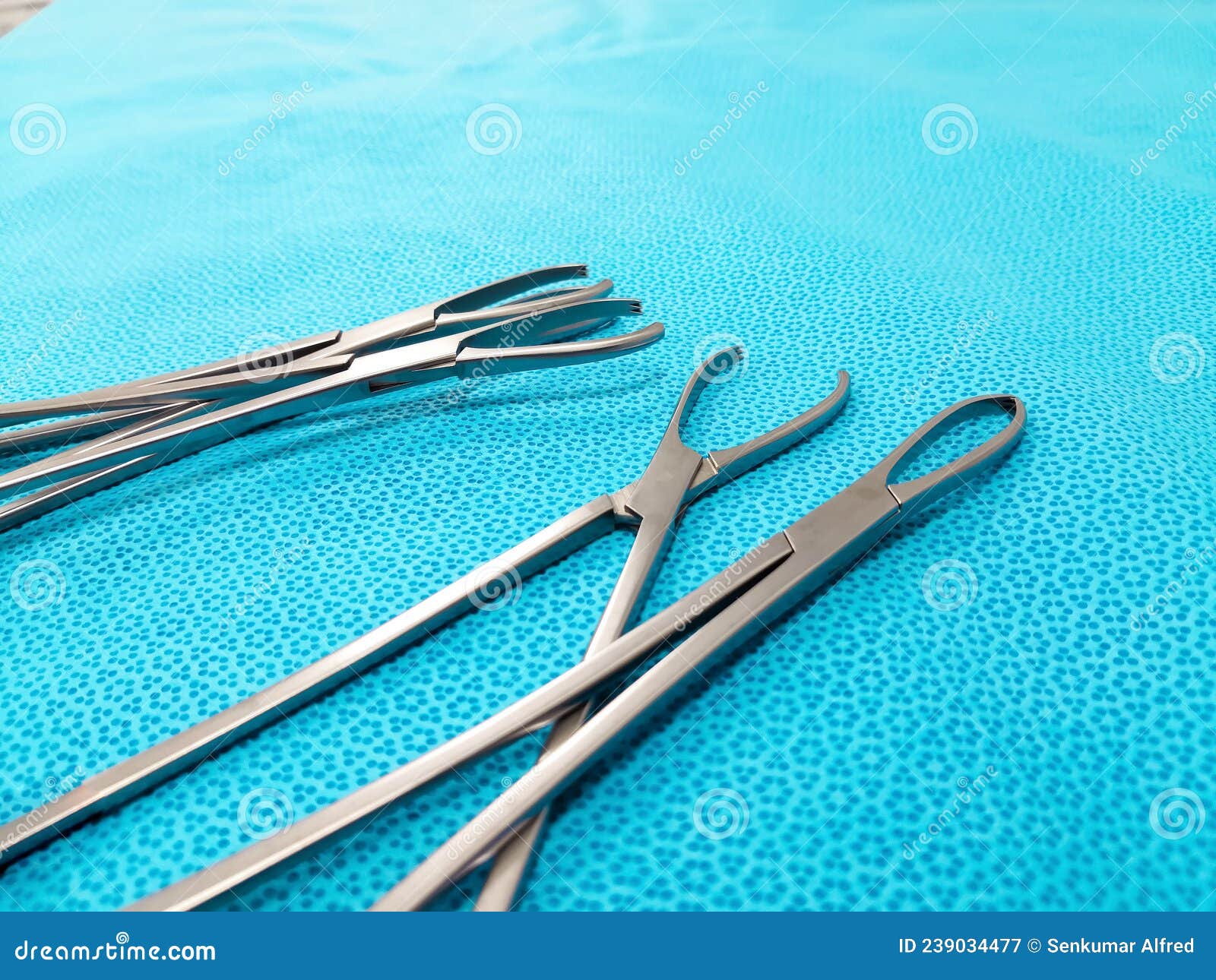 Littlewood Intestinal Tissue Grasping Forceps Tip Stock Image - Image ...