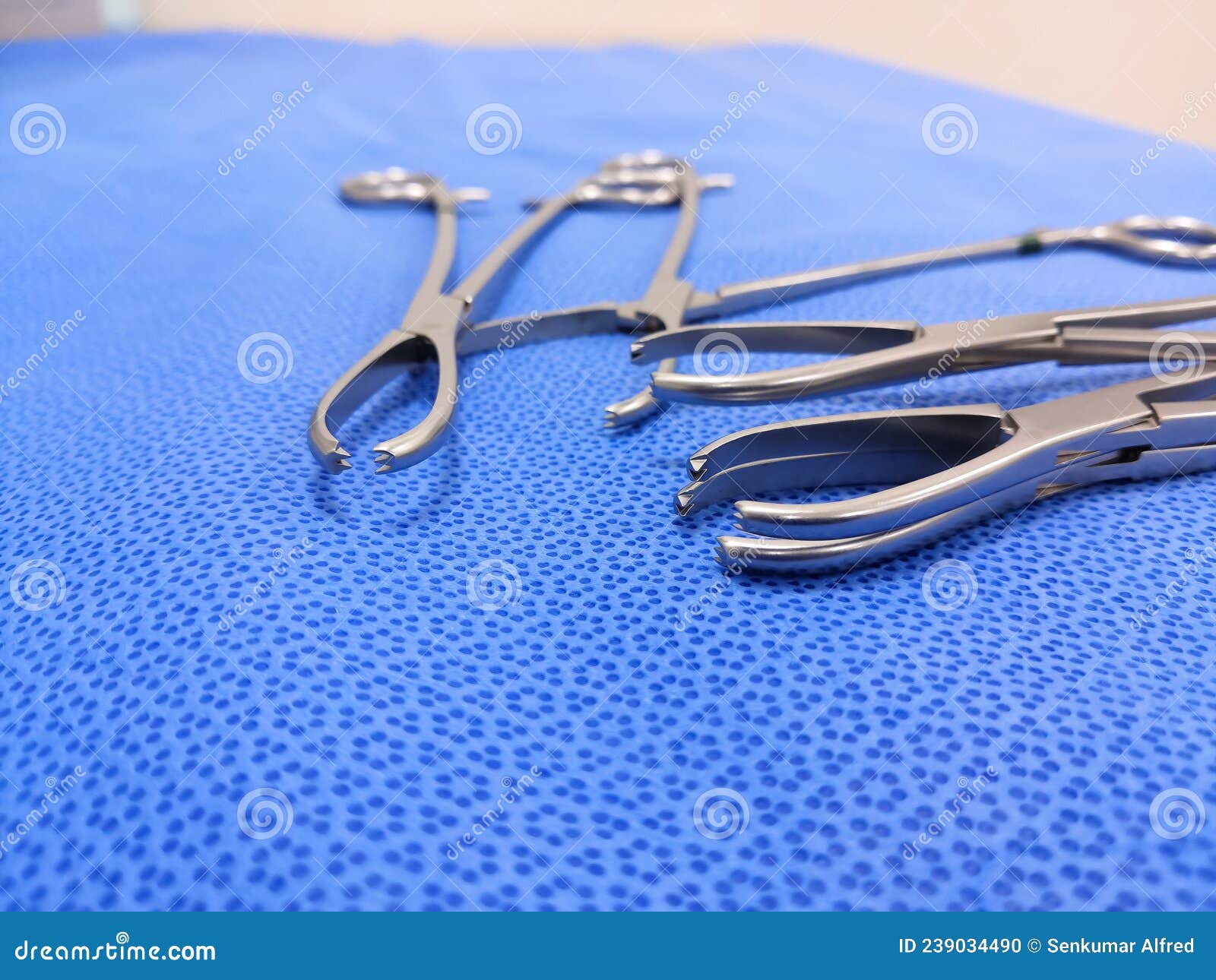 Littlewood Intestinal Tissue Grasping Forceps Tip Stock Photo - Image ...