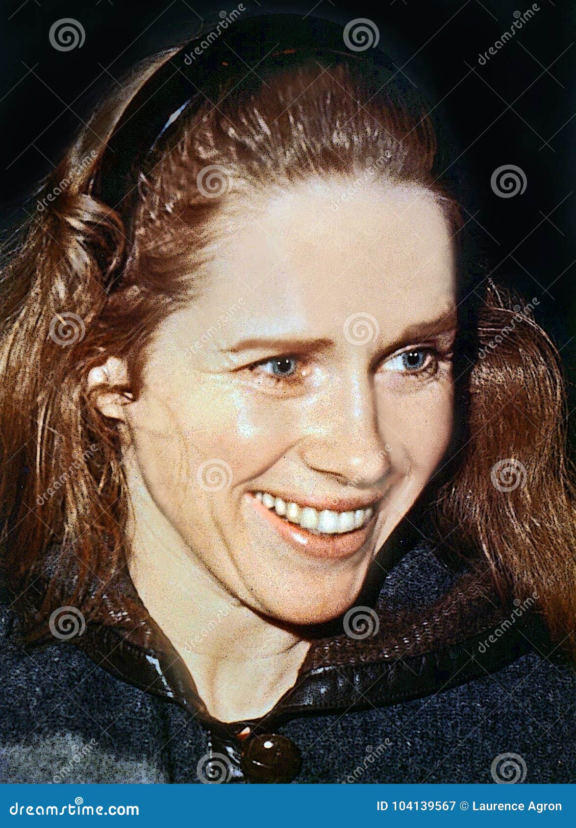 Liv Ullmann fotografía editorial. Imagen de ibsen, pulcritud - 104139567