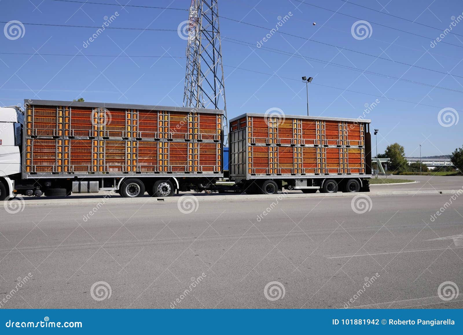 Live Animal Transport Trucks Stock Photo - Image of transportation ...