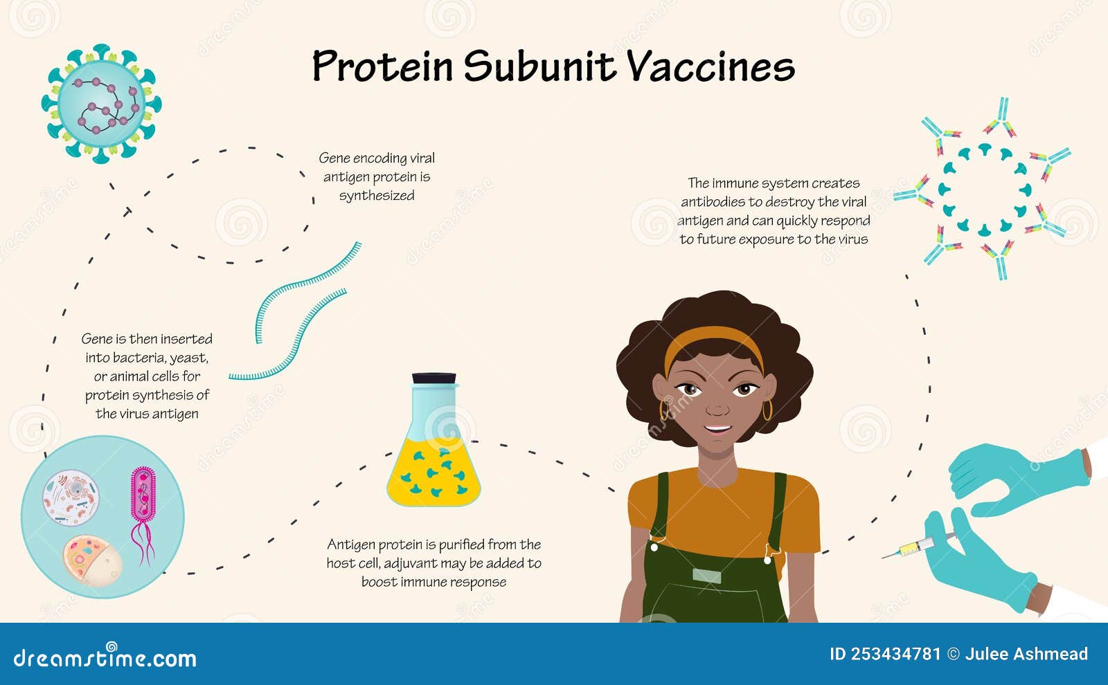 Protein Subunit Vaccine Infographic Stock Vector - Illustration of ...