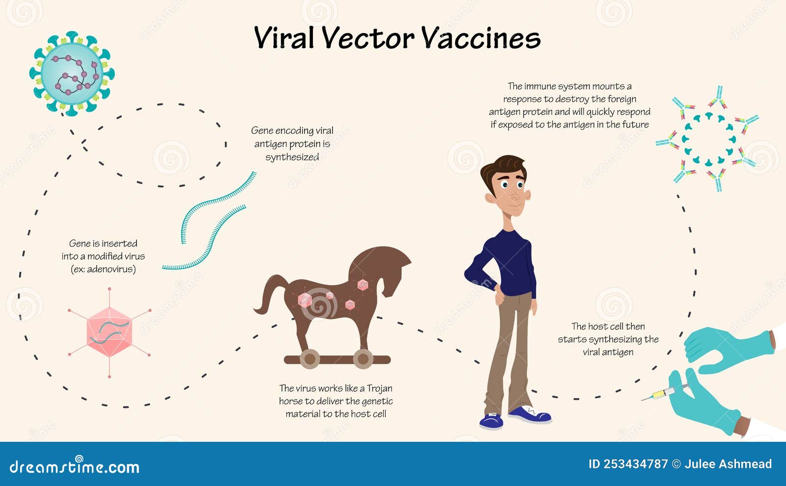 Viral Vector Vaccine Infographic | CartoonDealer.com #253434787