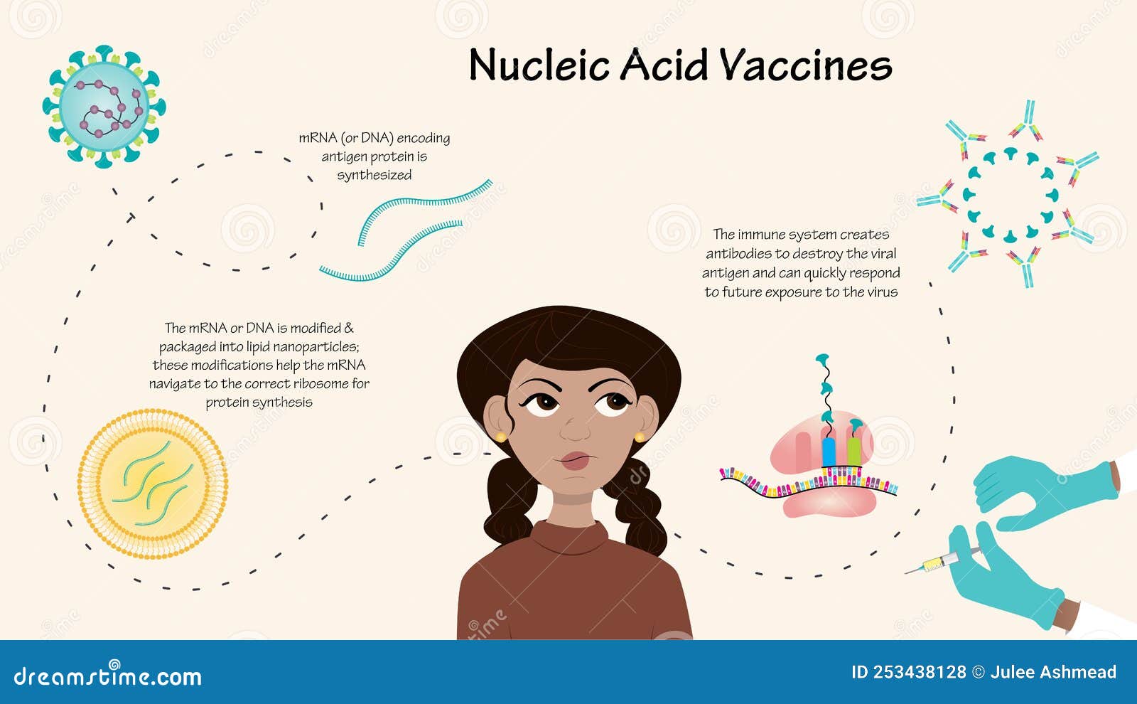 Nucleic Acid Vaccines Infographic Stock Vector - Illustration of ...