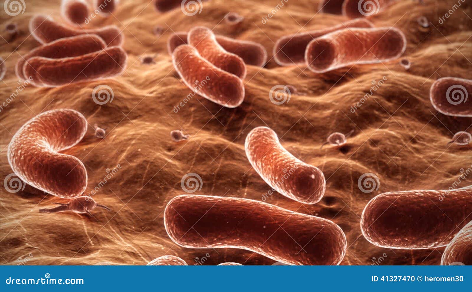 Live bacteria reproduce stock footage. Video of people - 41327470