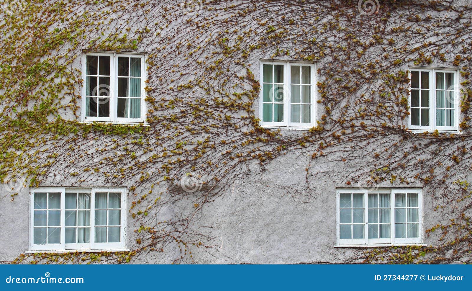 Live Building with Climbing Vines Stock Image - Image of living ...