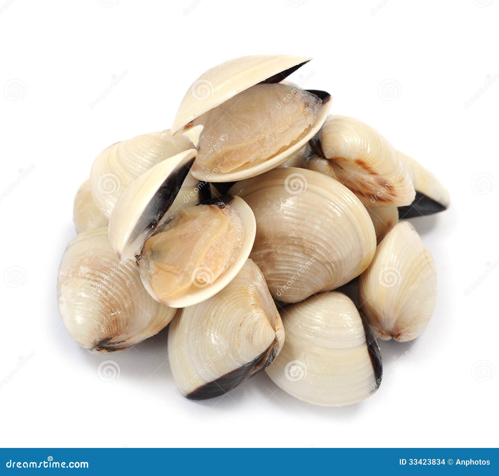 Live stock photo. Image of fresh, seafood, dinner, health - 33423834