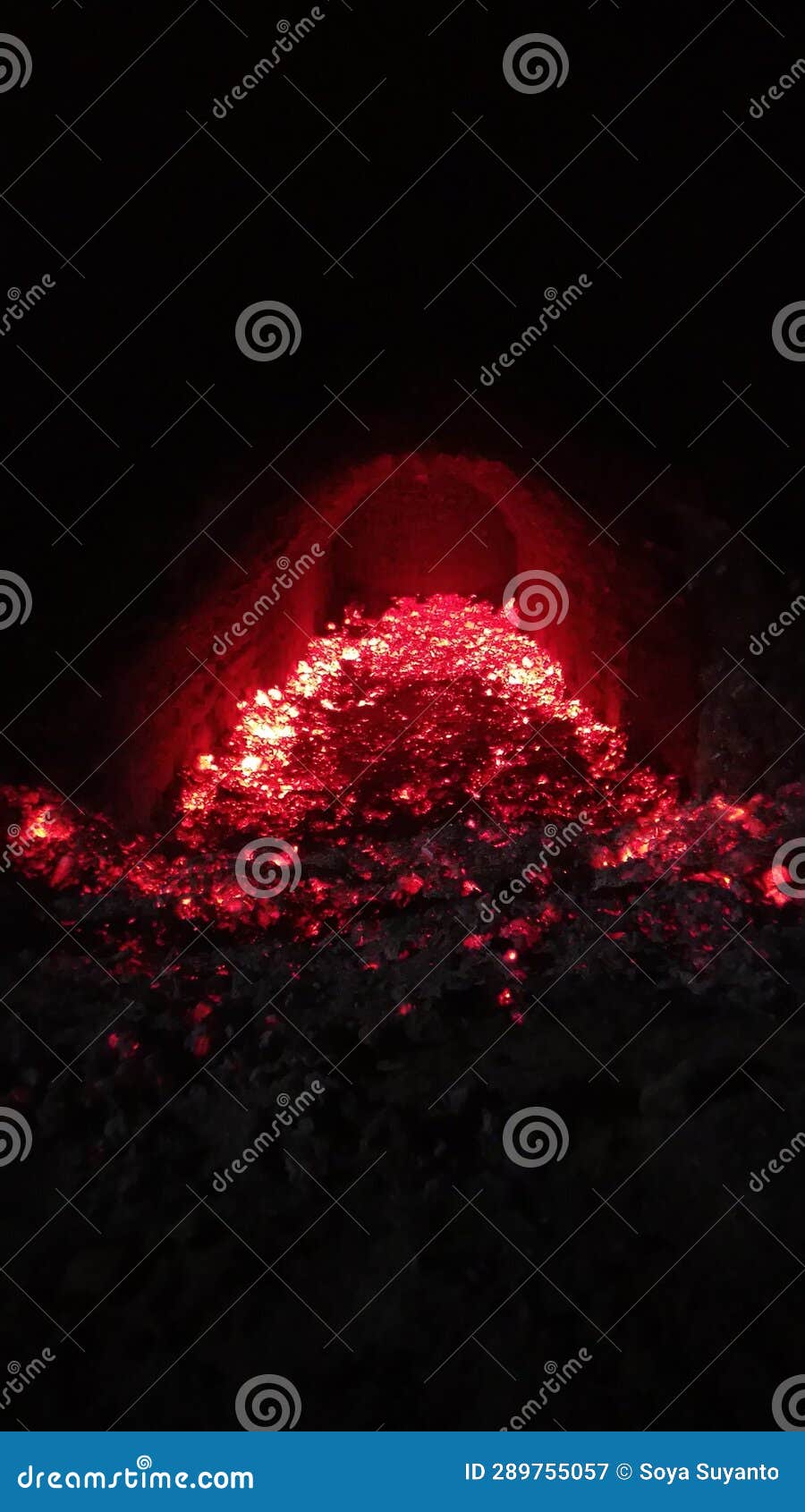 Live coal stock image. Image of sparkler, live, tree - 289755057