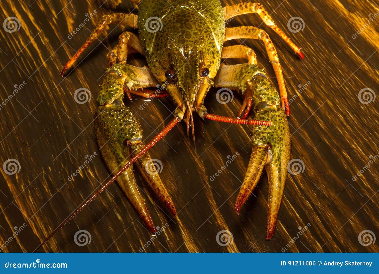 Live Crawfish on a Wooden Board Stock Photo - Image of delicious ...