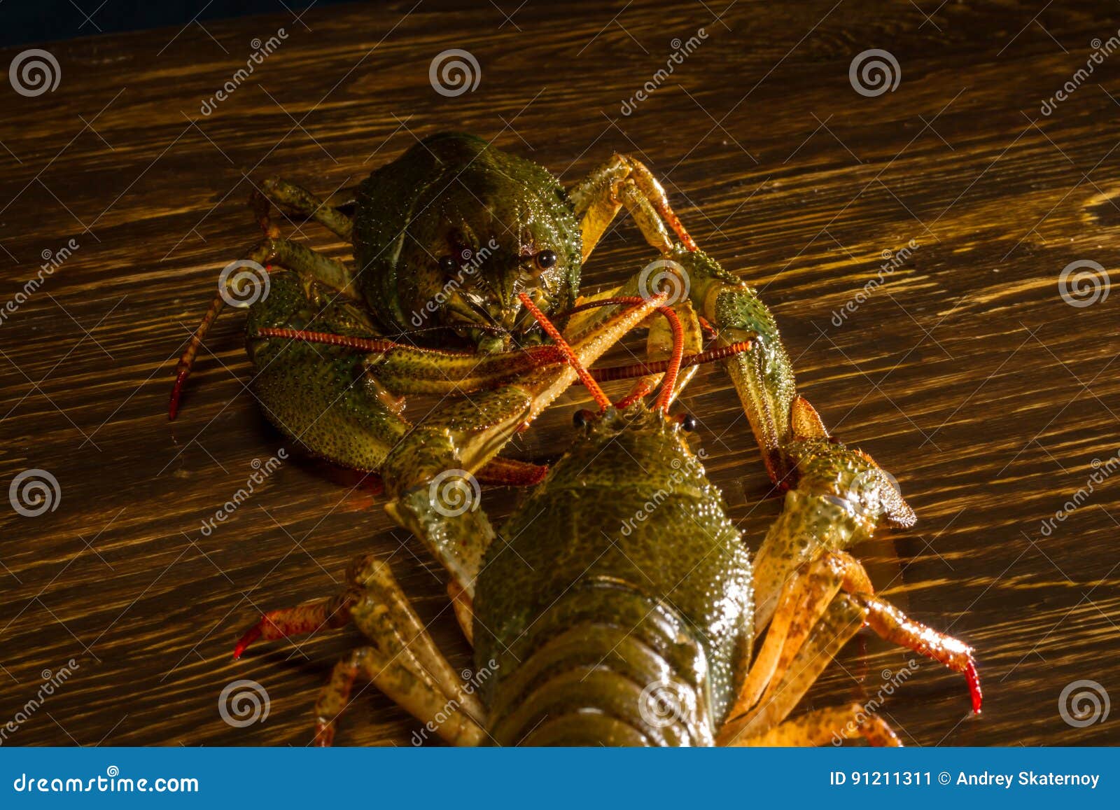 Live Crawfish on a Wooden Board Stock Image - Image of alive, life ...