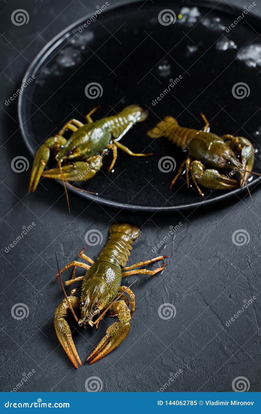 Live Crayfish Run Away from the Ice Plate. Black Background, Side View ...