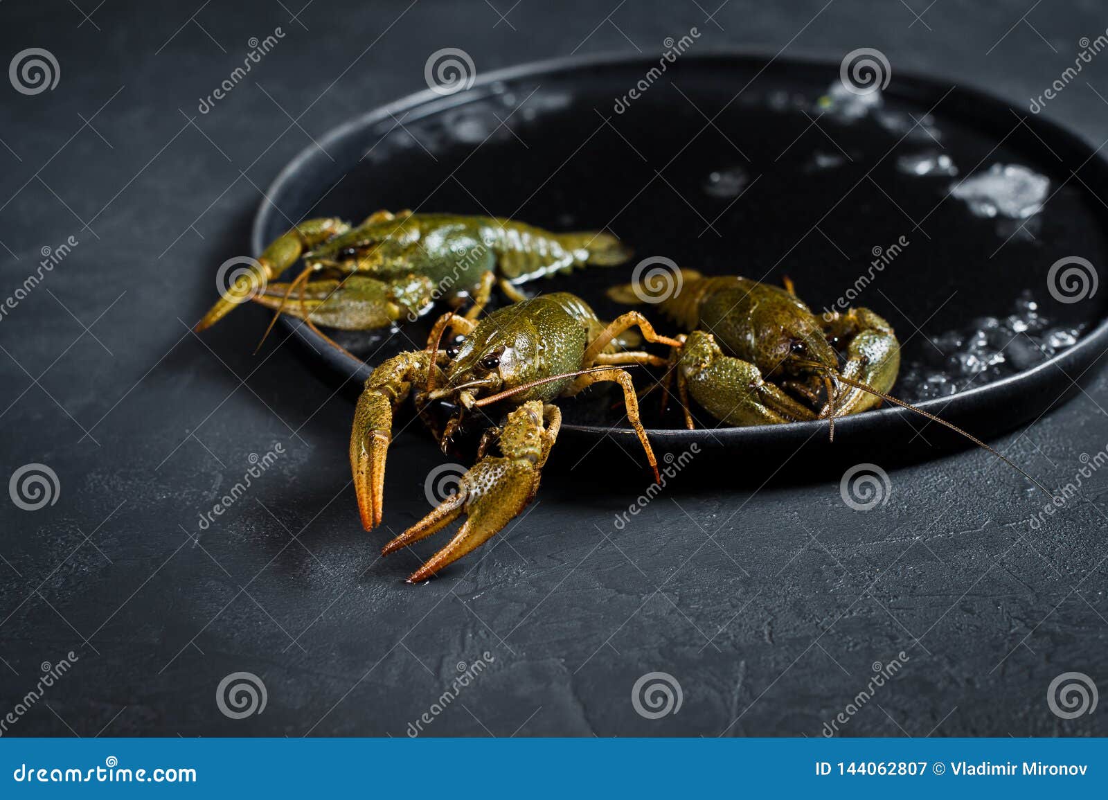 Live Crayfish Run Away from the Ice Plate. Black Background, Side View ...