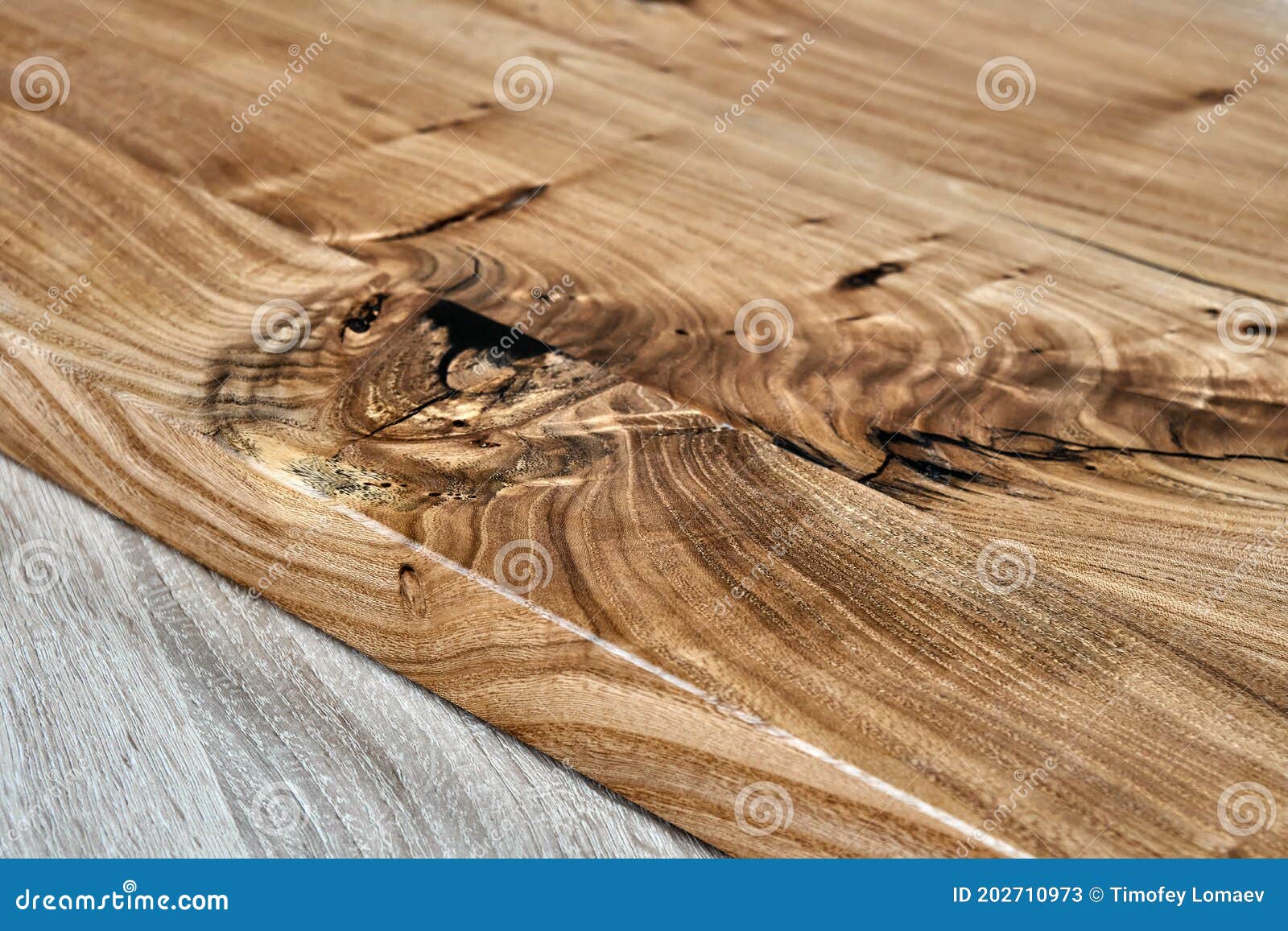 Live Edge Elm Countertop in Workshop. Close-up Stock Image - Image of ...