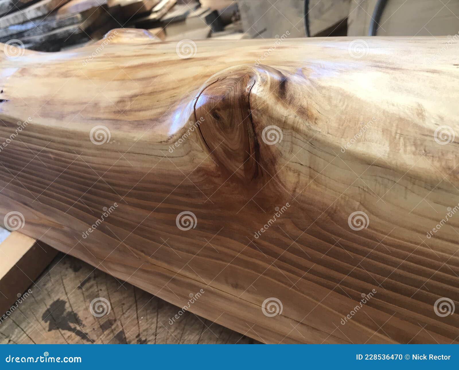 Live edge wood stock photo. Image of edge, cedar, beam - 228536470