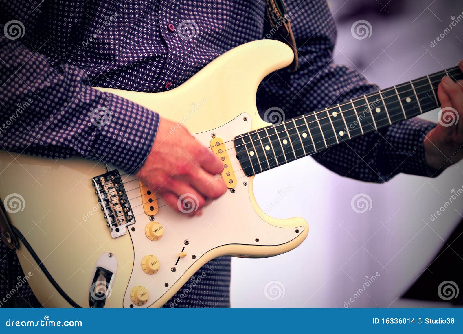 Live guitar player stock photo. Image of guitarist, entertainment ...