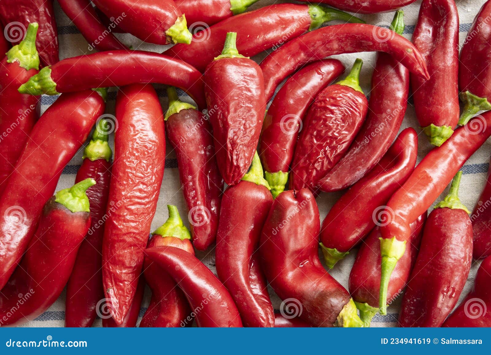 Live hot chilli stock image. Image of peppers, spice - 234941619