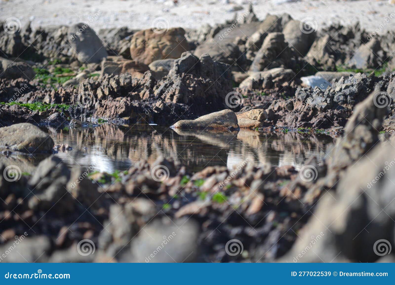 Live Life Like Rocks in Ocean Stock Image - Image of rocks, like: 277022539