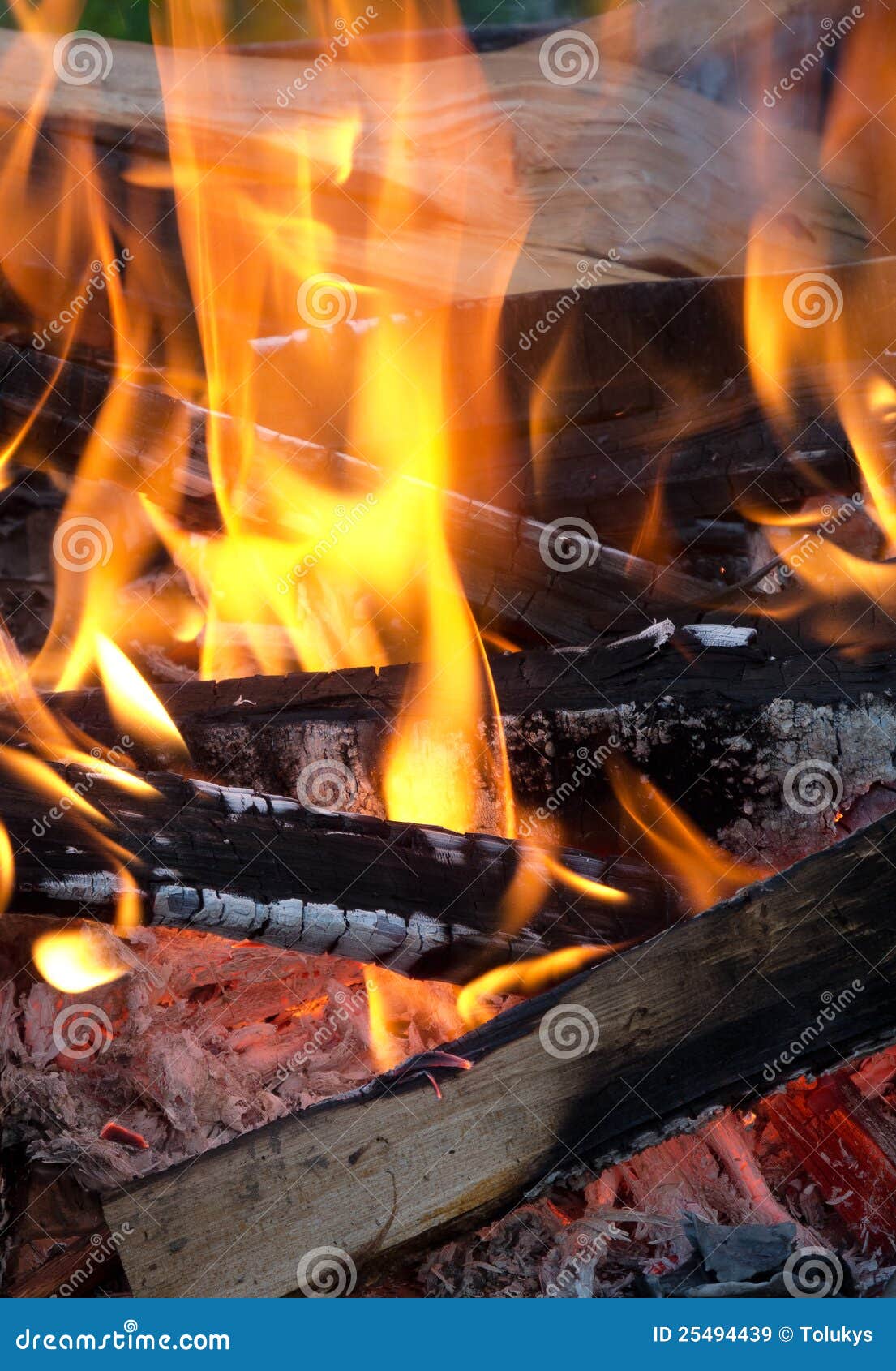 Live Red Coals and Burning Wood Stock Image - Image of arranging ...